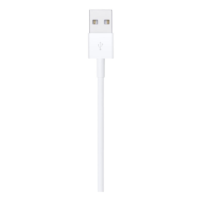 Buy Apple 1 Meter Lightning To USB A Charging Cable at low price in ...