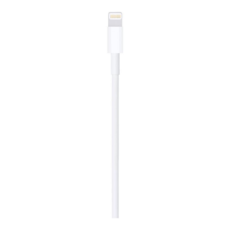 Buy Apple 1 Meter Lightning To USB A Charging Cable at low price in ...
